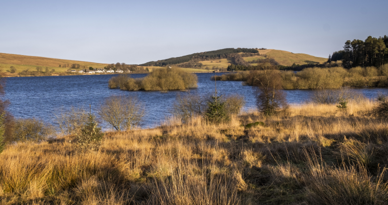 Carron Valley - Scottish Water